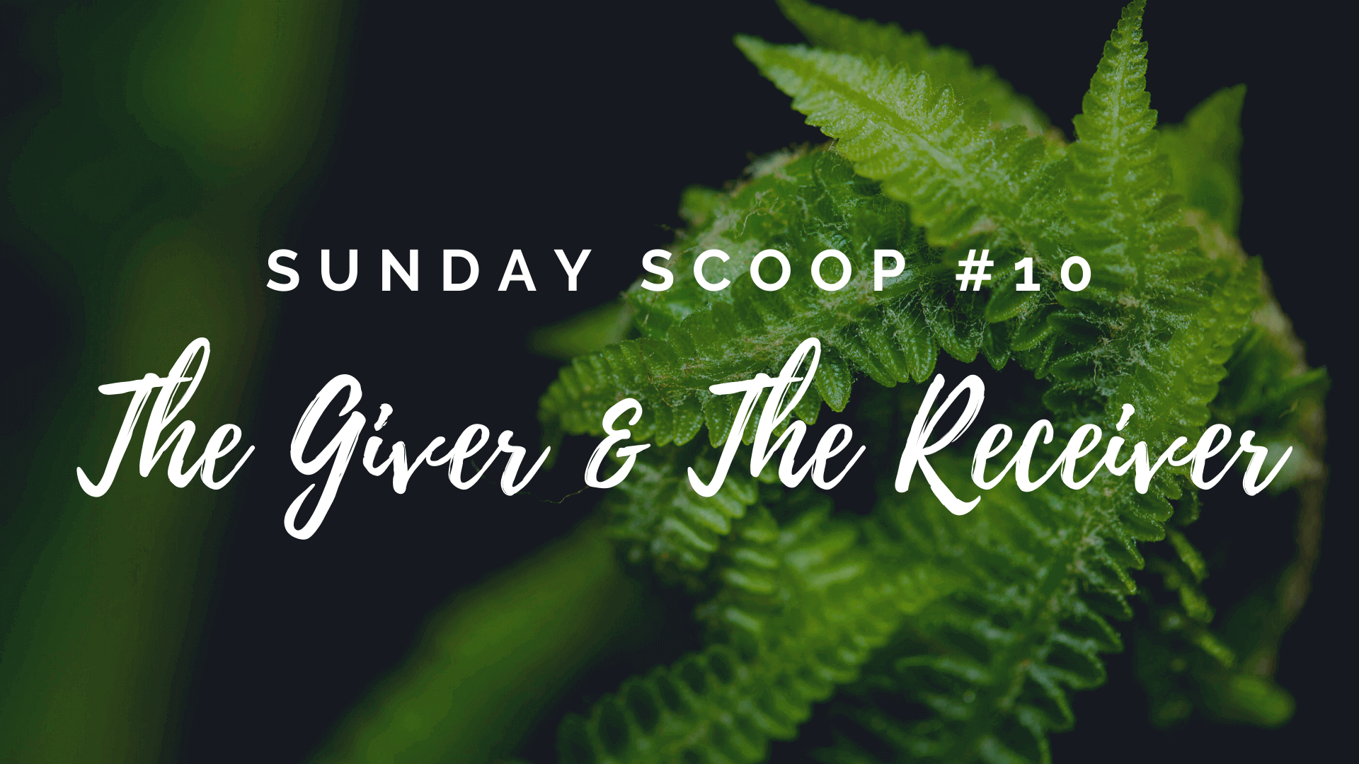 🌱 The Giver and The Receiver · Jia Shing